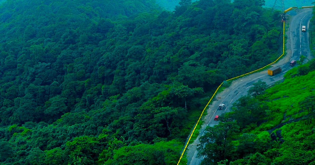 Most Visited Place In Wayanad - Toliday Trip