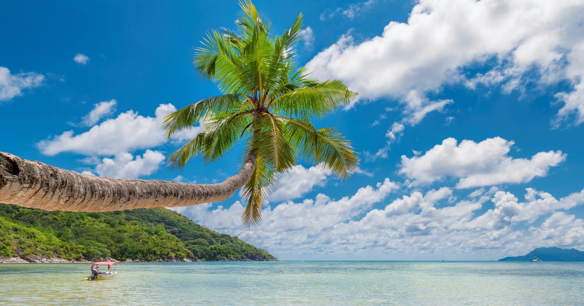 Top 10 Travel Destinations in Goa - Toliday Trip