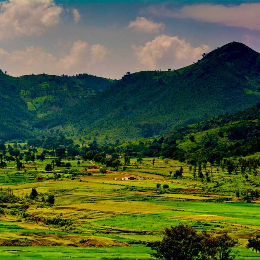 Akura Valley and Kailashgiri - Toliday Trip