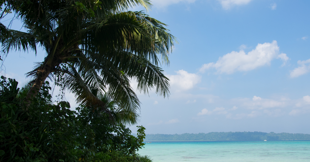 Most Visited Places In Radha Nagar Beach - Toliday Trip