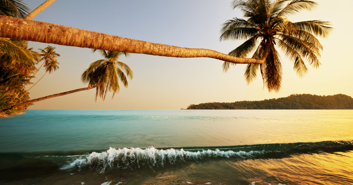 Top 10 Travel Destination in Andaman - Toliday Trip