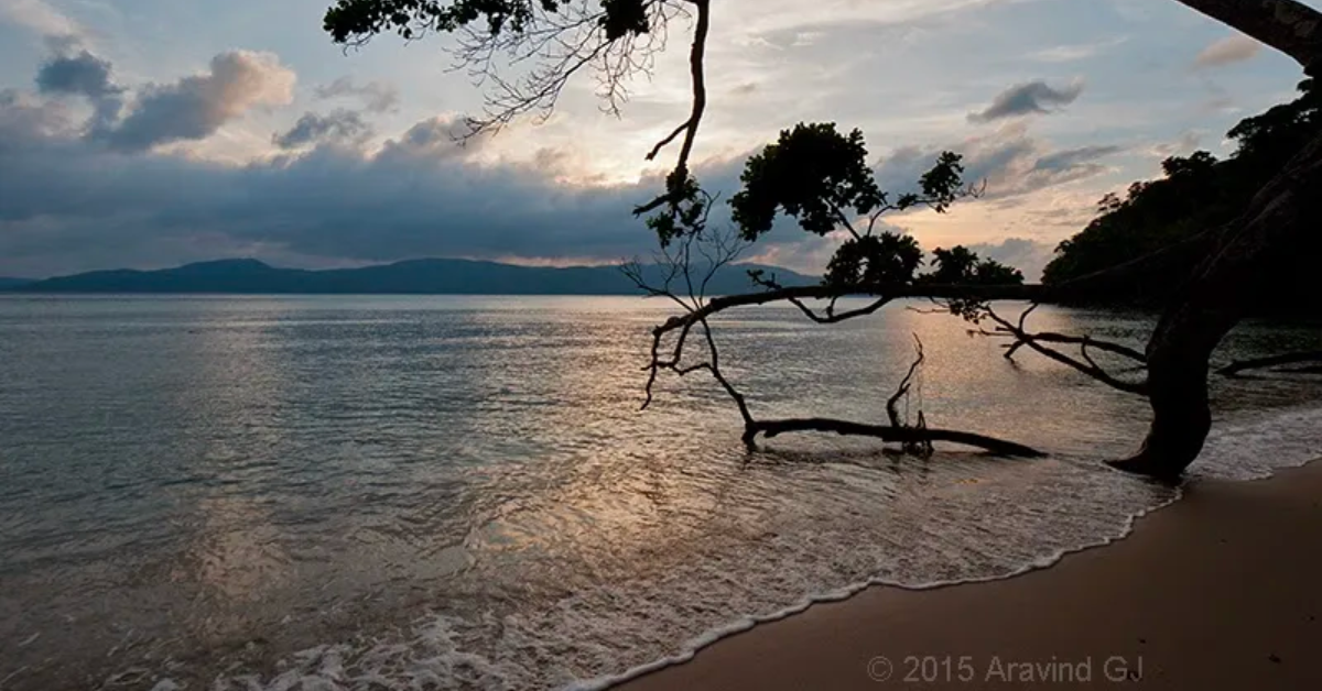 Most Visited Places in Chidiya Tapu - Toliday Trip