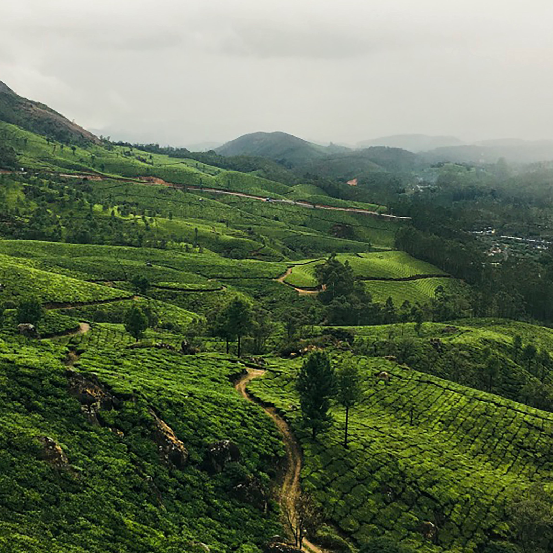 Top 10 most visited place in Coonor - Toliday Trip