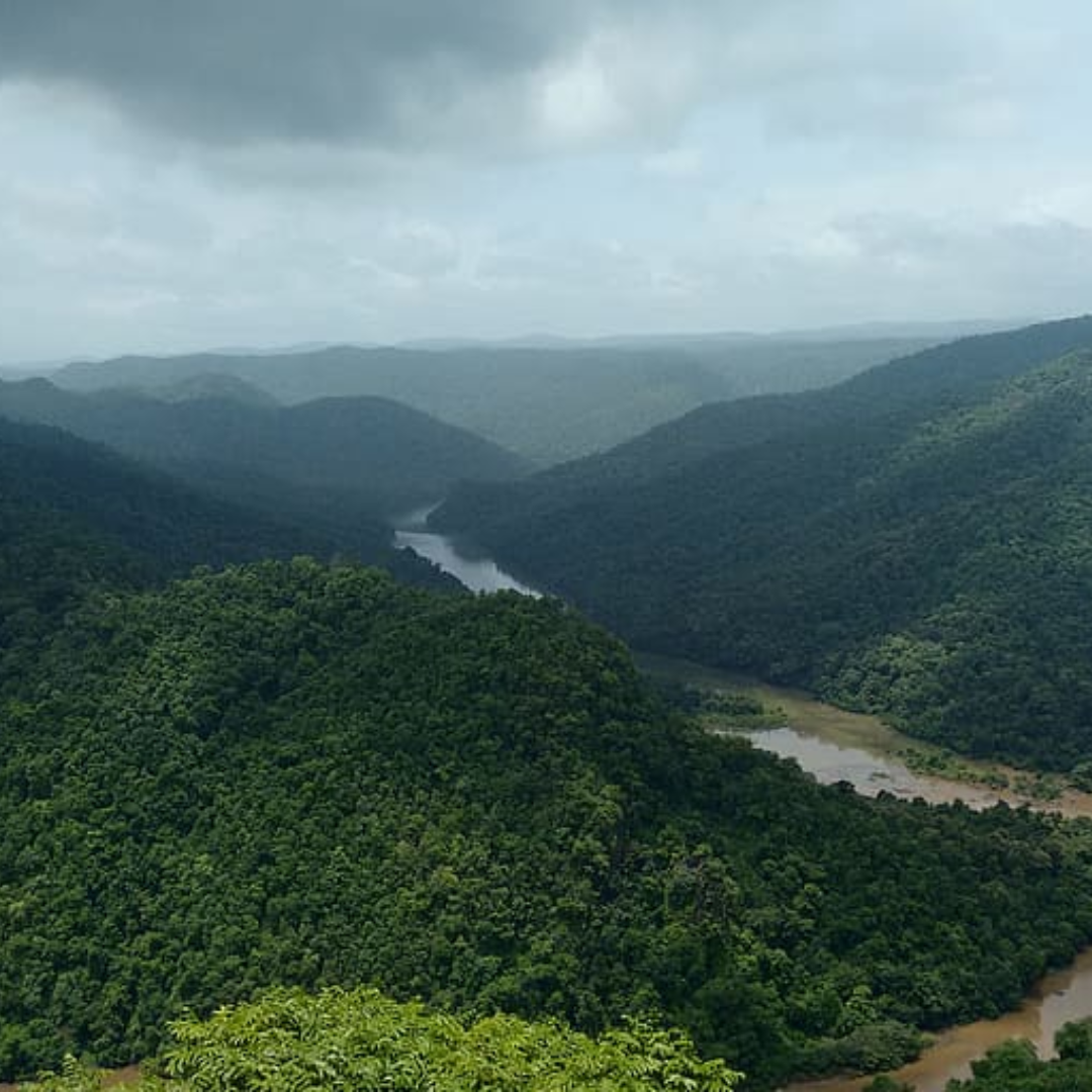 Dandeli - Toliday Trip