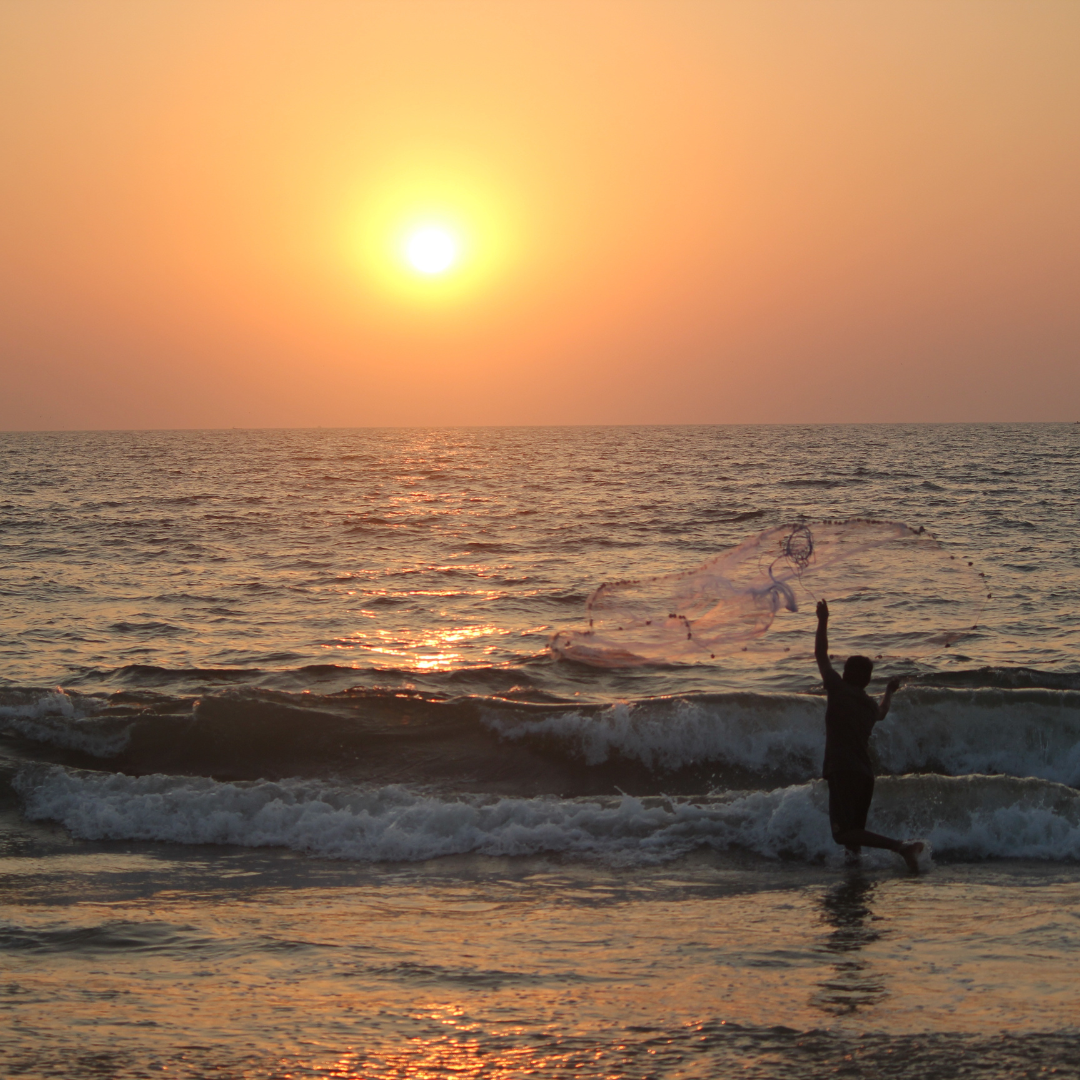 Discover 10 hidden gems in Goa - Toliday Trip