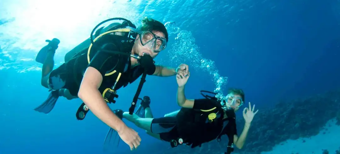 Waterworld Goa: Exploring Underwater Life and Scuba Diving Spots ...