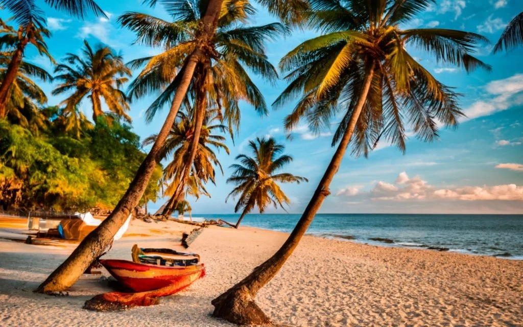 Hidden Gems of Goa: Off-the-Beaten-Path Destinations - Toliday Trip