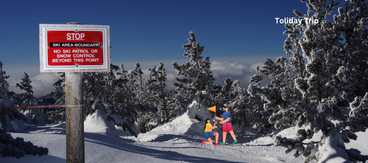 Blizzard Bound: Embrace the Thrill of Winter Travel - Toliday Trip